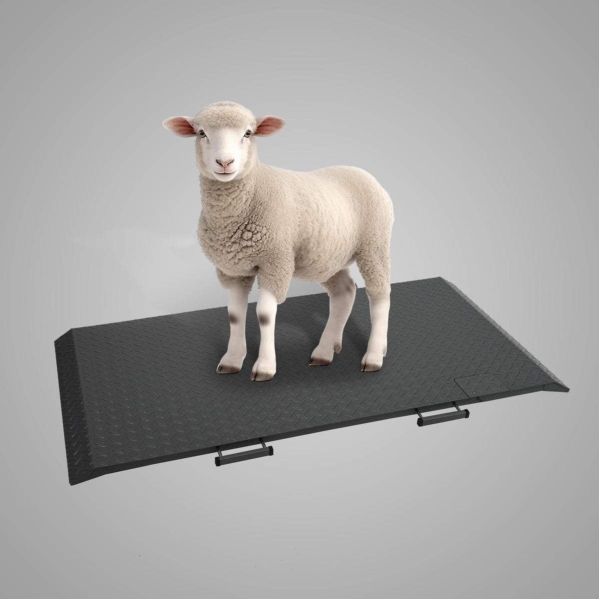 Livestock Scales Veterinary animal pet dog cat horse bird sheep pig cow ...