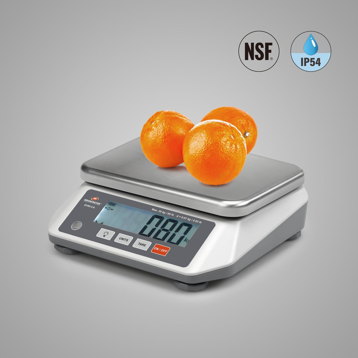 Bench Scales – Welcome to East High Scales - Your Weighing Expert