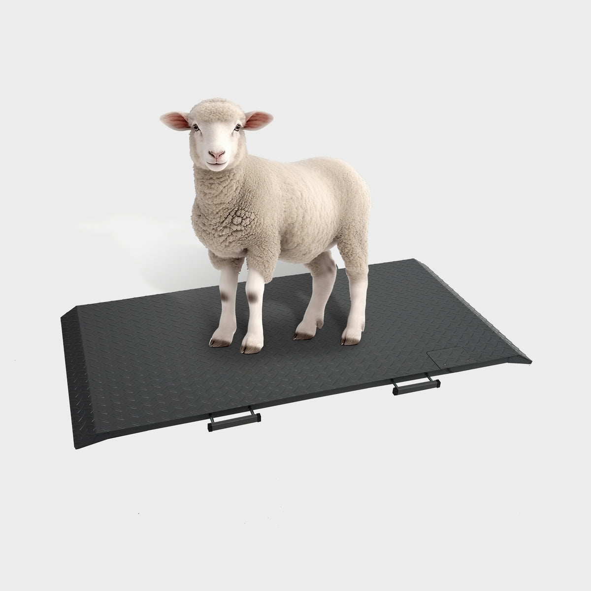 EH-AMC Large Animal Scale / Floor Scale / 1000kg Veterinary Scale – ODM ...